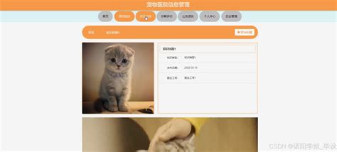 Springboot毕设 宠物医院信息管理 程序论文 Csdn博客