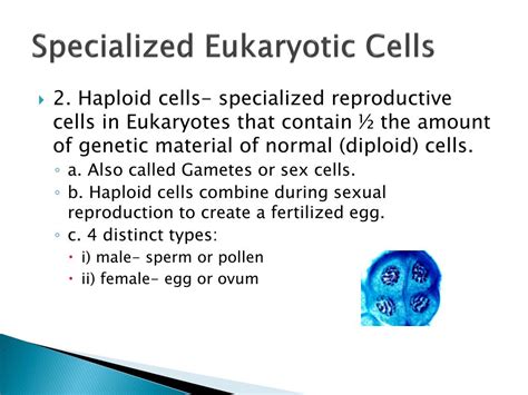 Ppt Microbiology In Agriscience And Production Agriculture Powerpoint