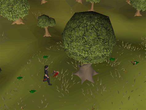 Filethe Fremennik Trials Swaying Treepng Osrs Wiki