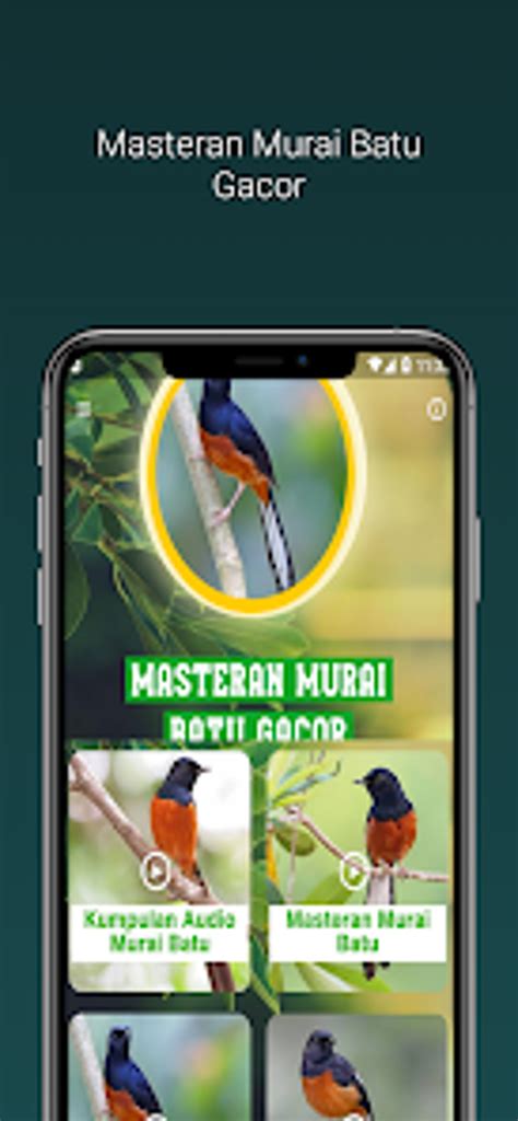 Masteran Murai Batu Gacor for Android 無料ダウンロード