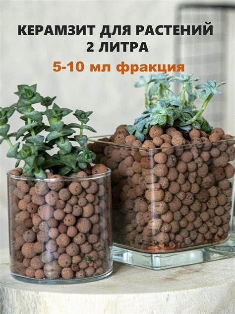 Керамзит для комнатных растений дренаж - купить по низкой цене в ...