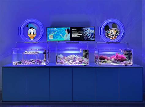 Xpark也有唐老鴨樂園？超夯水母牆、大魚缸等5打卡點搶先看，買套票再送超萌唐老鴨零錢包！ ｜ Popo筆記