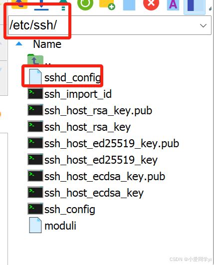 Mobaxterm中x11 Forwarding无法使用的解决办法（docker容器内）x11forwarding不能连接 Csdn博客
