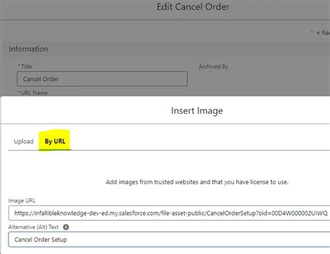 Display Image In Salesforce Public Knowledge Article Infallibletechie