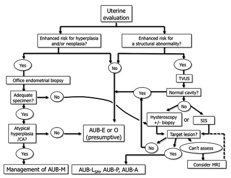 Ge Voluson™ Club Ultrasound Practice Guidelines