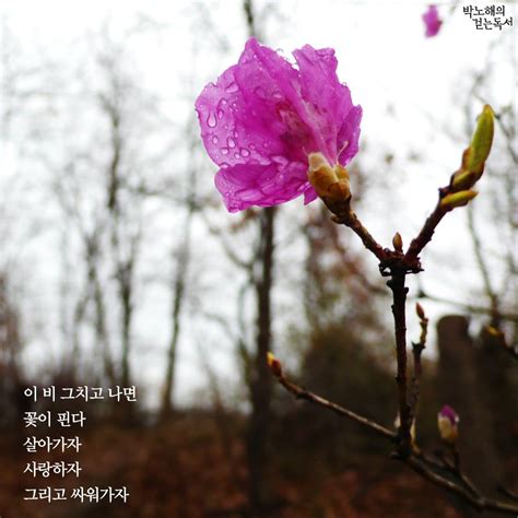 박노해의 걷는 독서 이 비 그치고 나면 꽃이 핀다 살아가자 사랑하자 그리고 싸워가자 박노해