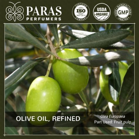 Refined Olive Oil At Best Price In Delhi Delhi Paras Perfumers