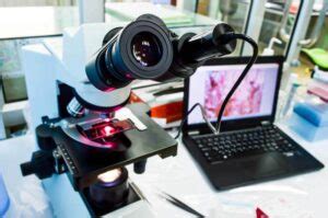 8 Best Microscope Cameras Reviews 2025 Capture Record