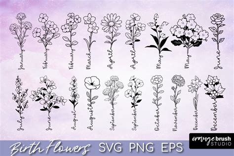 Birth Month Flowers SVG Bundle Birth Flowers Cut 3301458