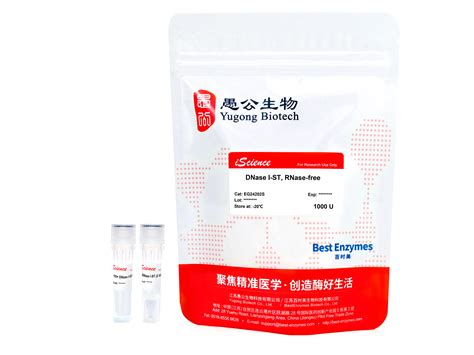 Dnase I St Rnase Free耐盐脱氧核糖核酸酶 I ，无核糖核酸酶