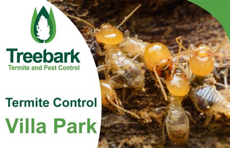 Villa Park Treebark Termite And Pest Control Services