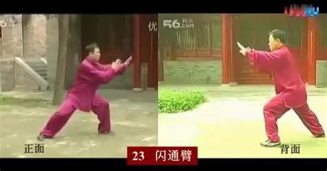 陈式太极拳老架一路74式：正面背面口诀字幕张东武老师演示 标清体育武术好看视频