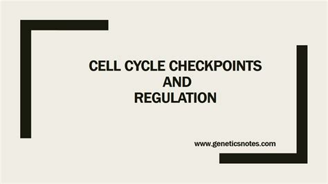 Checkpoints And Regulation Of Cell Cycle Online Biology Notes