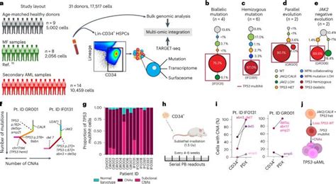 Biocytogen On Linkedin Single Cell Multi Omics Identifies Chronic
