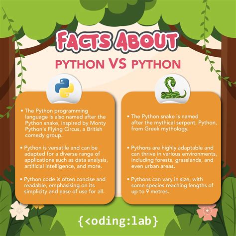 We Adopted A Python Coding Lab