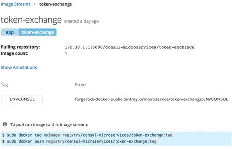 Forgerock Identity Microservices With Consul On Openshift