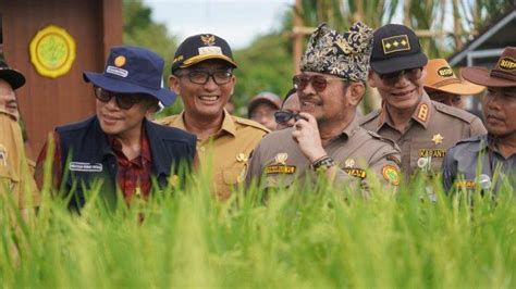 Dampingi Mentan Ri Kunjungi Lokasi Penas Ktna Wali Kota Padang