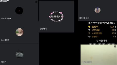 신입27일차 오늘은 일요일~~~~~고민상담시그니처배너프로필제작문의오픈톡 Qs 안산아이맞즐맞팬환영 아프리카tv Vod