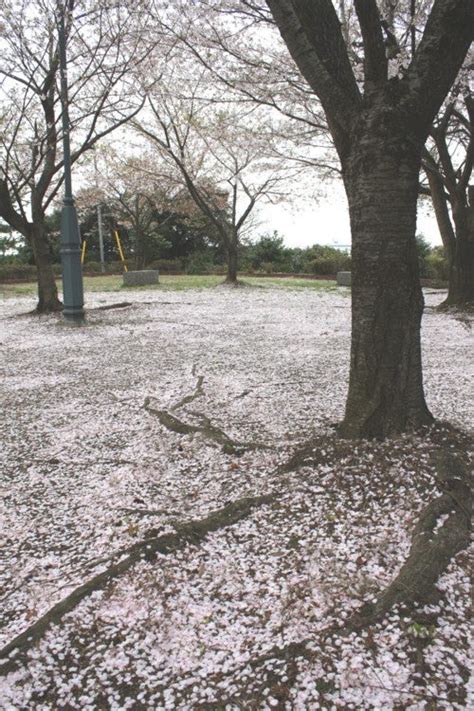 鳥取県琴浦町青年団のブログ