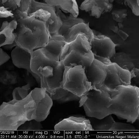 Sem Of Corncob Powder Peg 4000 Download Scientific Diagram