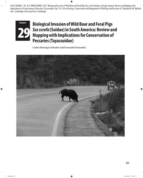 Pdf Biological Invasion Of Wild Boar And Feral Pigs Sus Scrofa