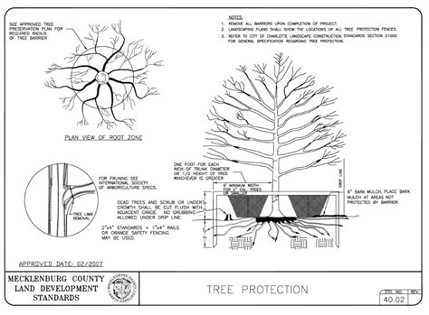Protecting Trees From Construction TreesCharlotte