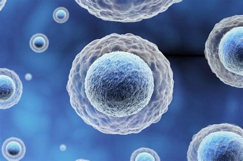 longevity technology on linkedin french startup aims to accelerate