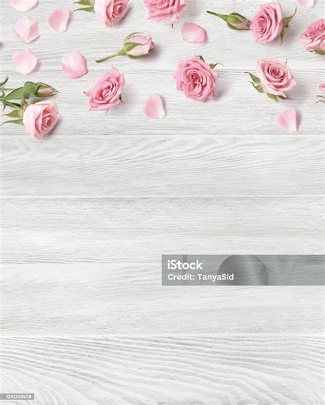 흰색 나무 배경에 장미 꽃 디자인 텍스트를위한 복사 공간이 있습니다 핑크 장미와 로즈 버드의 최고 전망 행복한 어머니의 날 꽃 식물에 대한 스톡 사진 및 기타 이미지