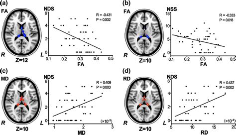 correlations between dti parameters and neurological test scores