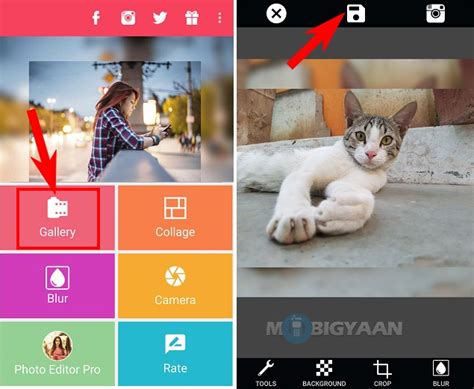 How To Set WhatsApp Profile Picture Without Cropping Beginner S Guide