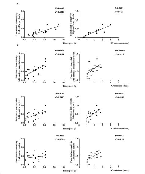 Relationship Between Functional Connectivity Fc And Behavior