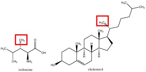 Methyl Functional Group