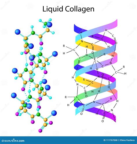 Vector Illustration With Liqid Collagen Formula Isolated Stock Vector