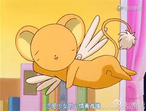 小可 堆糖，美图壁纸兴趣社区