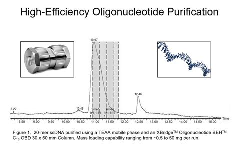 Matthew Lauber On Linkedin Oligo Hplc Oligonucleotide Lifeatwaters