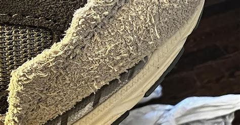 Nb2002 Album On Imgur