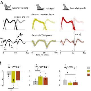 Characteristics Of The Ground Reaction Forces A Top Typical Download Scientific Diagram