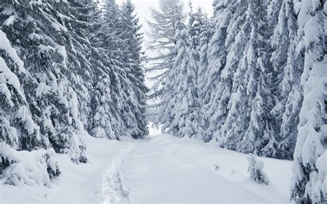 Common Cold Weather Emergencies And How To Stay Safe