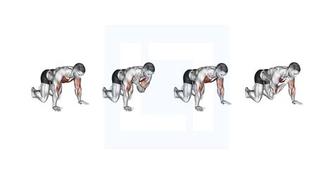 Kneeling Shoulder Tap Guide Benefits And Form