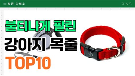 요즘 잘 팔리는 강아지 목줄 추천 Top10 가격 평점 비교 Youtube