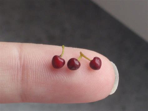 Pin On Miniature Food