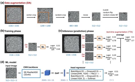 A Data Augmentation Da Process Center Cropping Of 1200 × 1200