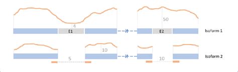 diagram illustrates the coverage bias problem with as transcript based
