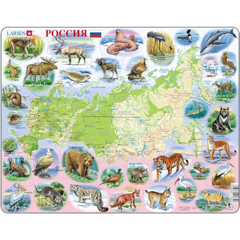 LARSEN Puzzle - Kníhkupectvo LestachKNIHY.sk - knihy, turistické mapy