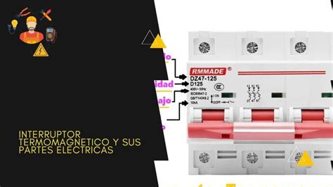Interruptor Termomagnético Y Sus Partes Eléctricas Interruptor Eléctrico Electricidad
