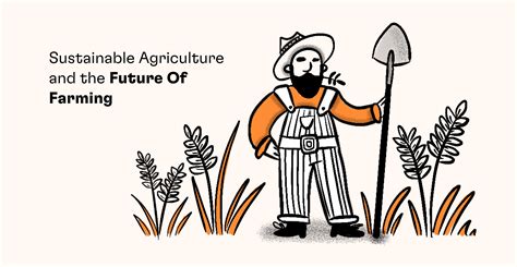 Sustainable Agriculture And The Future Of Farming
