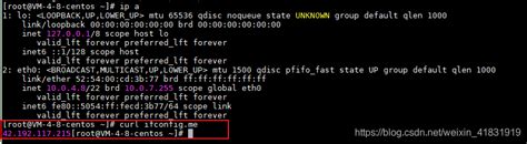 Linux和windows如何查询自己本地出去的公网ip地址windows Curl Ifconfigme Csdn博客