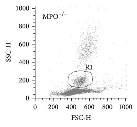 Neutrophils Of Mpo Mice Lack Mpo Expression Representative Flow Download Scientific