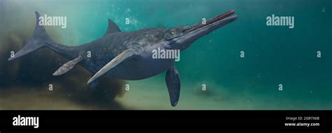 Ichthyosaur Stenopterygius Quadriscissus Swimming In The Ocean