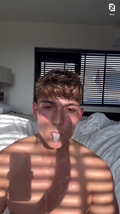Levy Van Wilgen Compilation